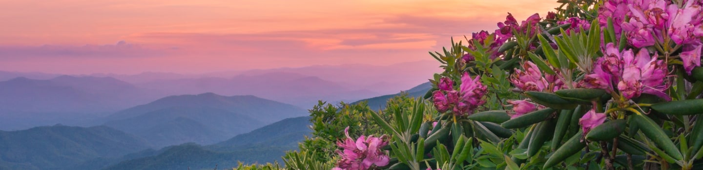 Recreation.gov - Camping, Cabins, RVs, Permits, Passes & More