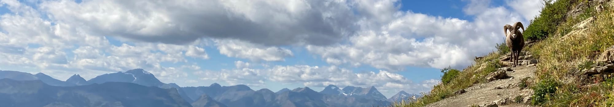 Recreation.gov - Camping, Cabins, RVs, Permits, Passes & More