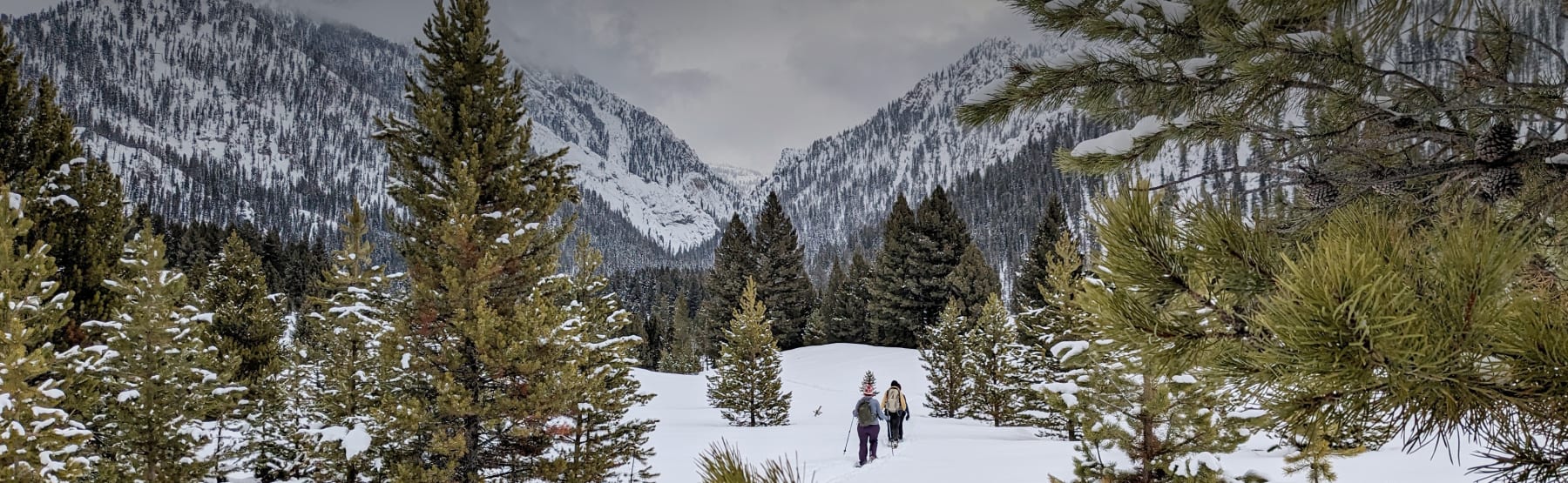 Recreation.gov - Camping, Cabins, RVs, Permits, Passes & More