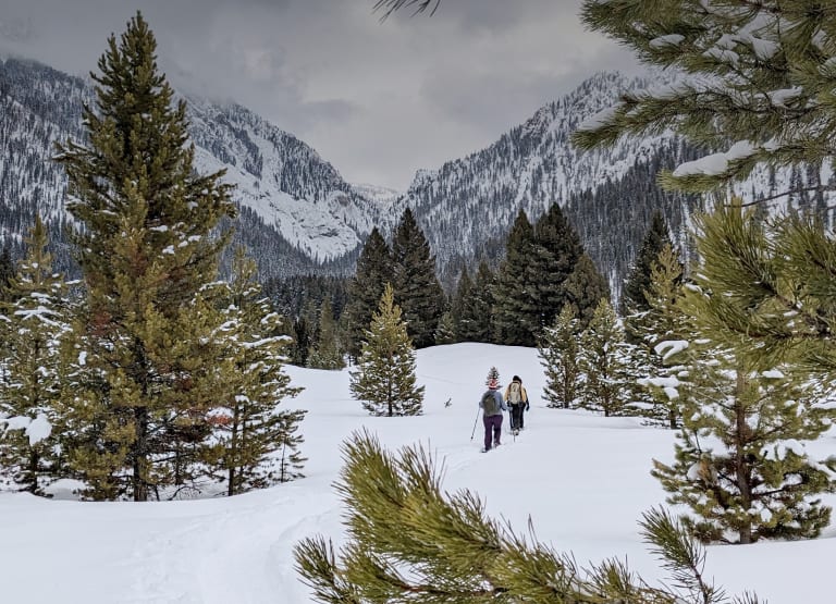 Recreation.gov - Camping, Cabins, RVs, Permits, Passes & More