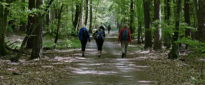 Recreation.gov - Camping, Cabins, RVs, Permits, Passes & More